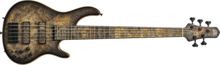 STR Guitars | Deviser ｜株式会社ディバイザー｜長野県松本市のギターメーカー