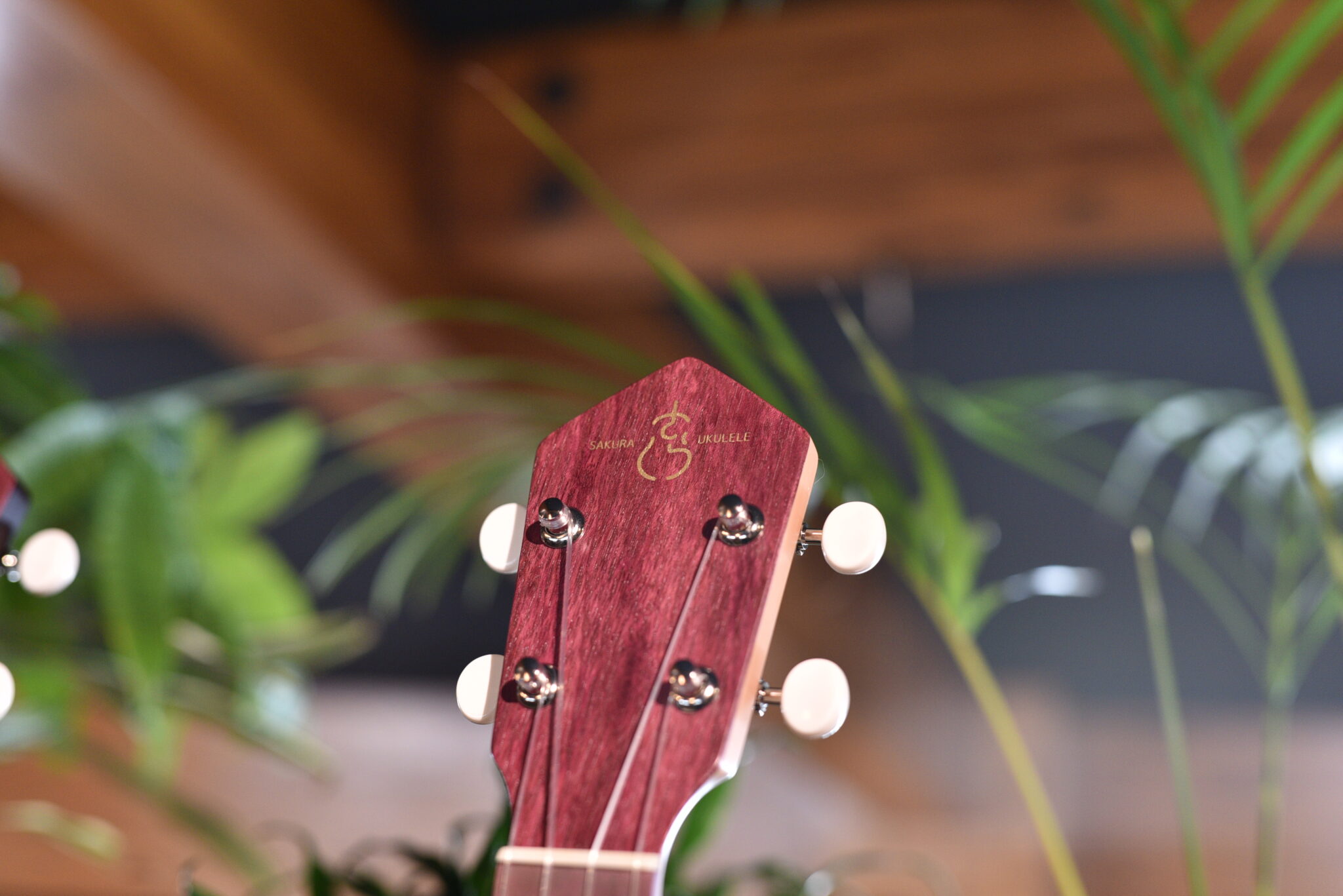 SUC-YOZAKURA | Deviser ｜株式会社ディバイザー｜長野県松本市のギターメーカー