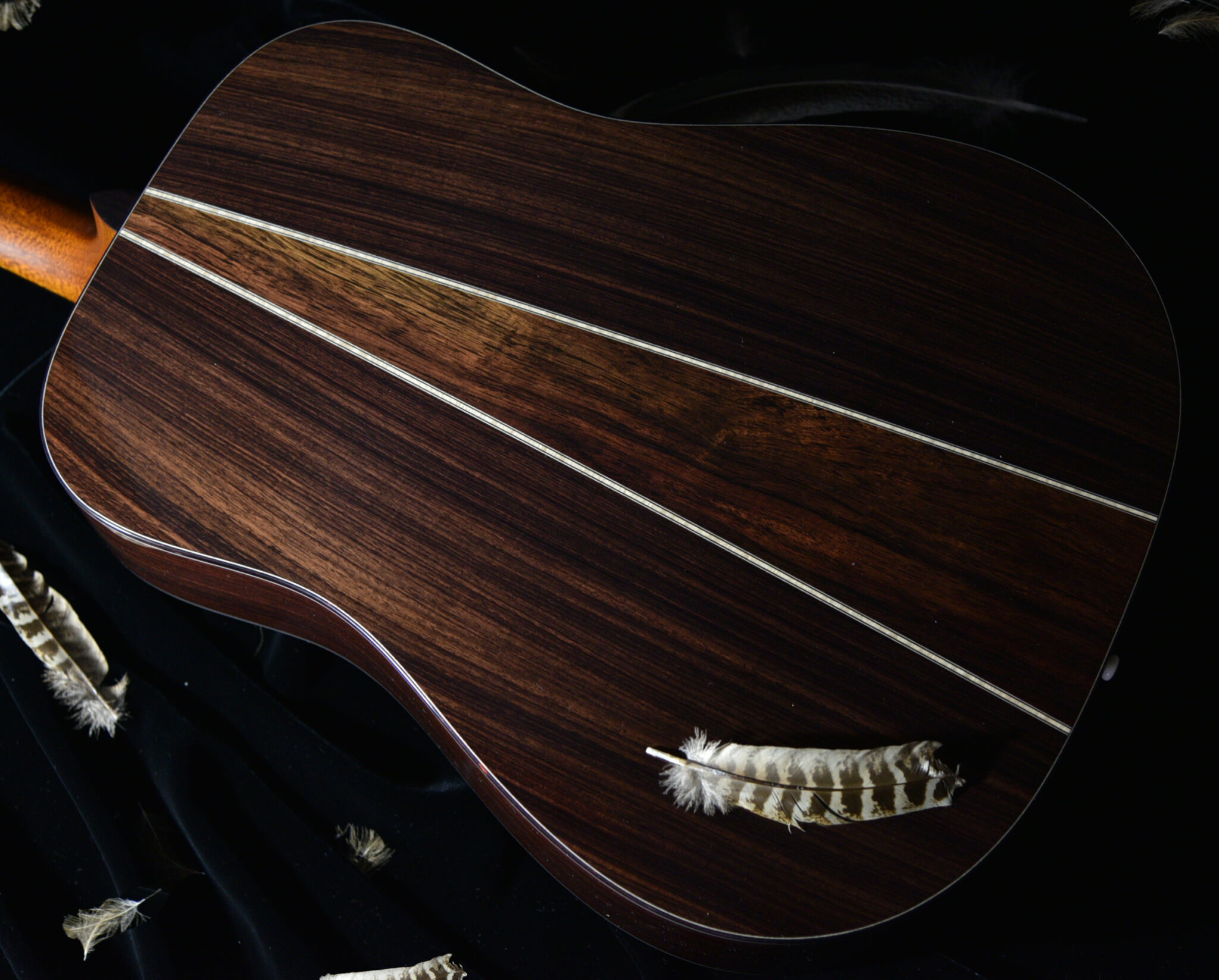 The Eagle’23 Type D | Deviser ｜株式会社ディバイザー｜長野県松本市のギターメーカー