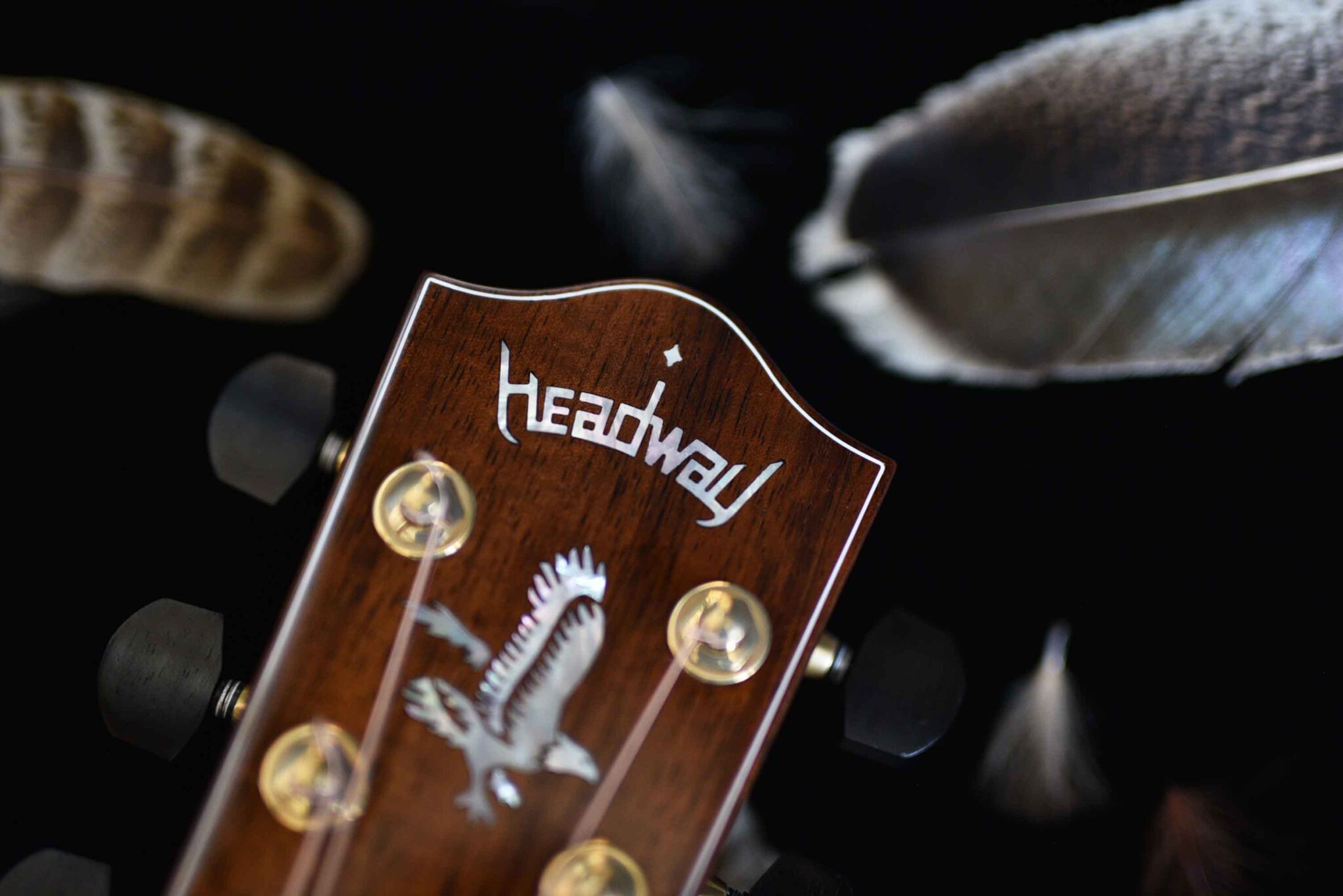 The Eagle’24 Type F | Deviser ｜株式会社ディバイザー｜長野県松本市のギターメーカー