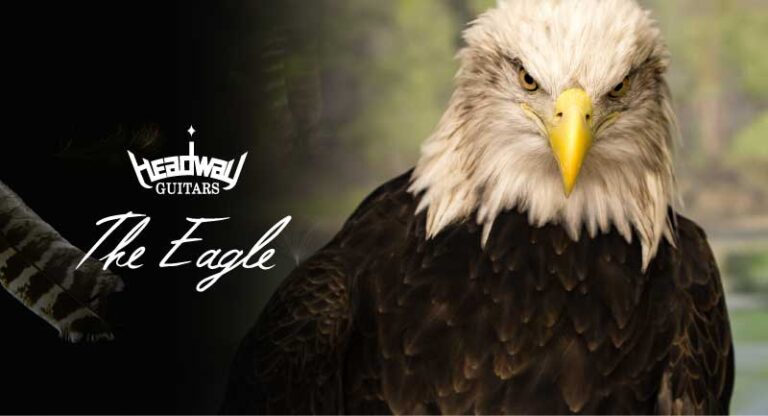 The Eagle/STD Type D CN | Deviser ｜株式会社ディバイザー｜長野県松本市のギターメーカー