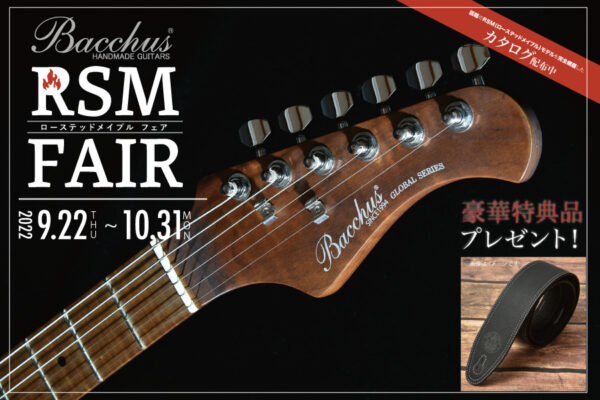 【メーカー公式改造】コスト完全度外視！『JP-Mod』爆誕 | Deviser ｜株式会社ディバイザー｜長野県松本市のギターメーカー