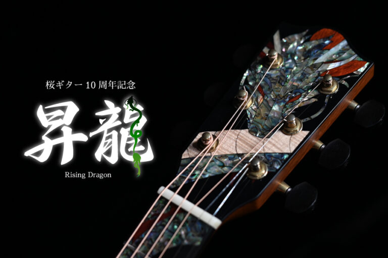 Headway Guitars | Deviser ｜株式会社ディバイザー｜長野県松本市のギターメーカー