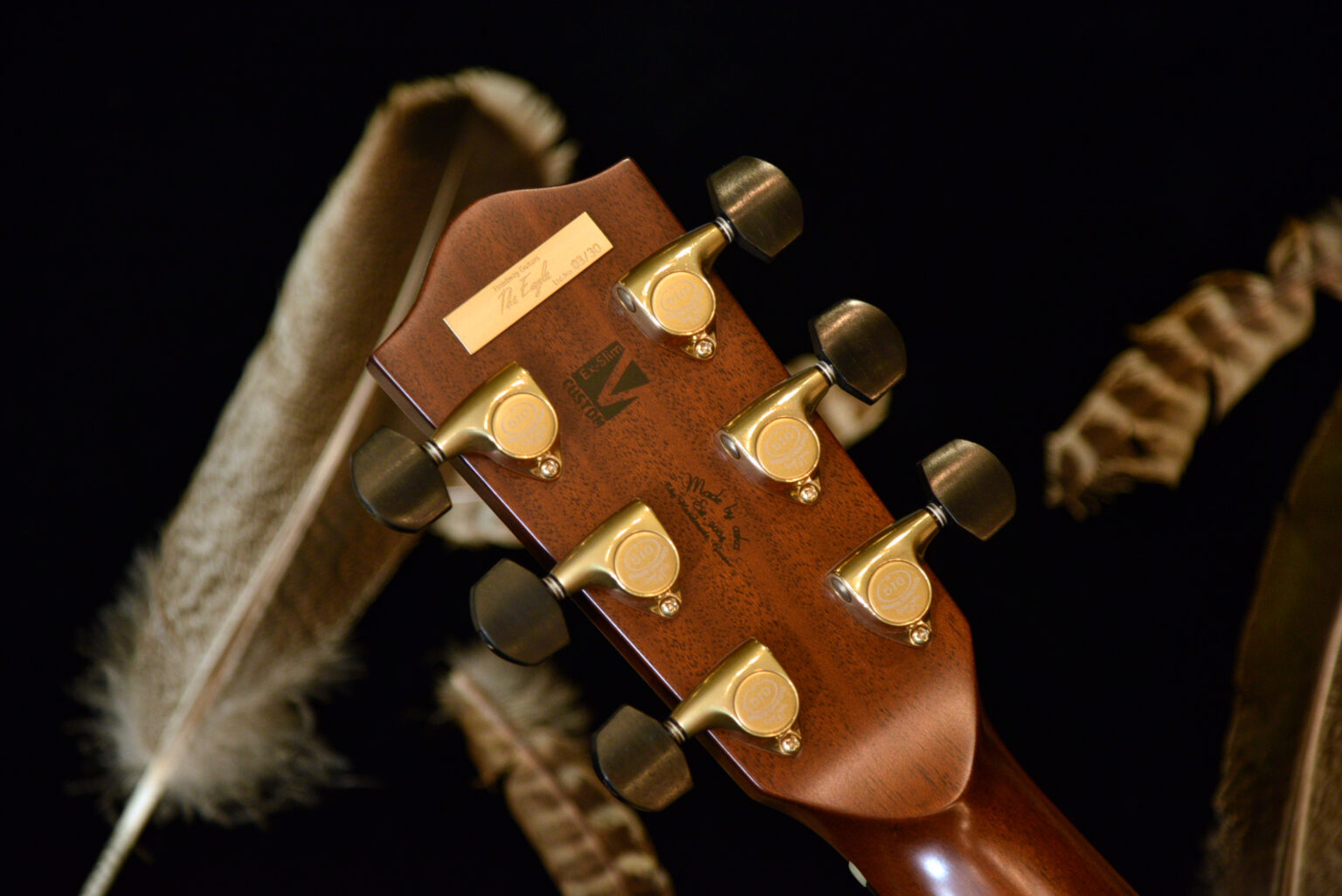 The Eagle’24 Type F | Deviser ｜株式会社ディバイザー｜長野県松本市のギターメーカー