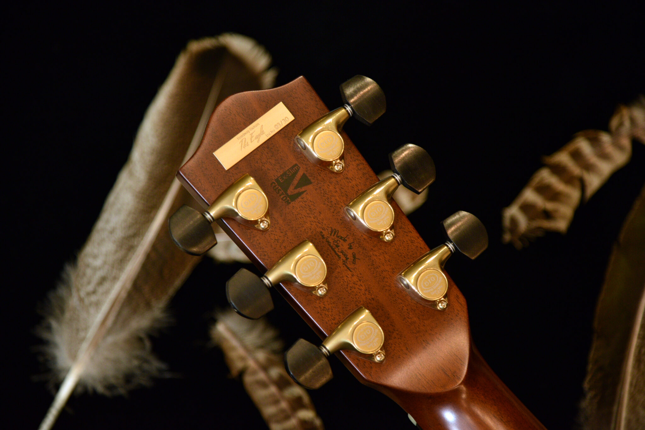 The Eagle’24 Type F | Deviser ｜株式会社ディバイザー｜長野県松本市のギターメーカー