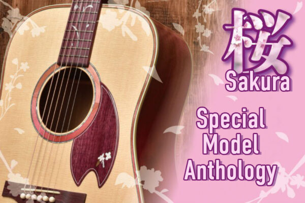 Headway Guitars | Deviser ｜株式会社ディバイザー｜長野県松本市のギターメーカー