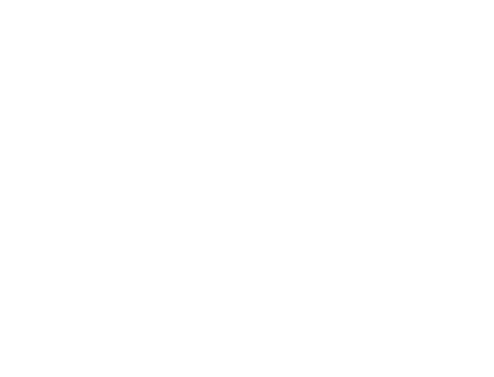 Deviser Special Specification | Deviser ｜株式会社ディバイザー｜長野県松本市のギターメーカー