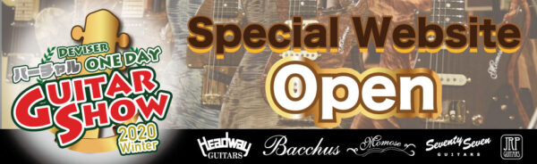 Standard Series Special Model Gallery | Deviser ｜株式会社ディバイザー｜長野県松本市のギターメーカー