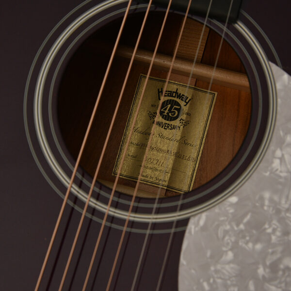 HF-FUYUYOZAKURA SE’22 F,S/STD | Deviser ｜株式会社ディバイザー｜長野県松本市のギターメーカー