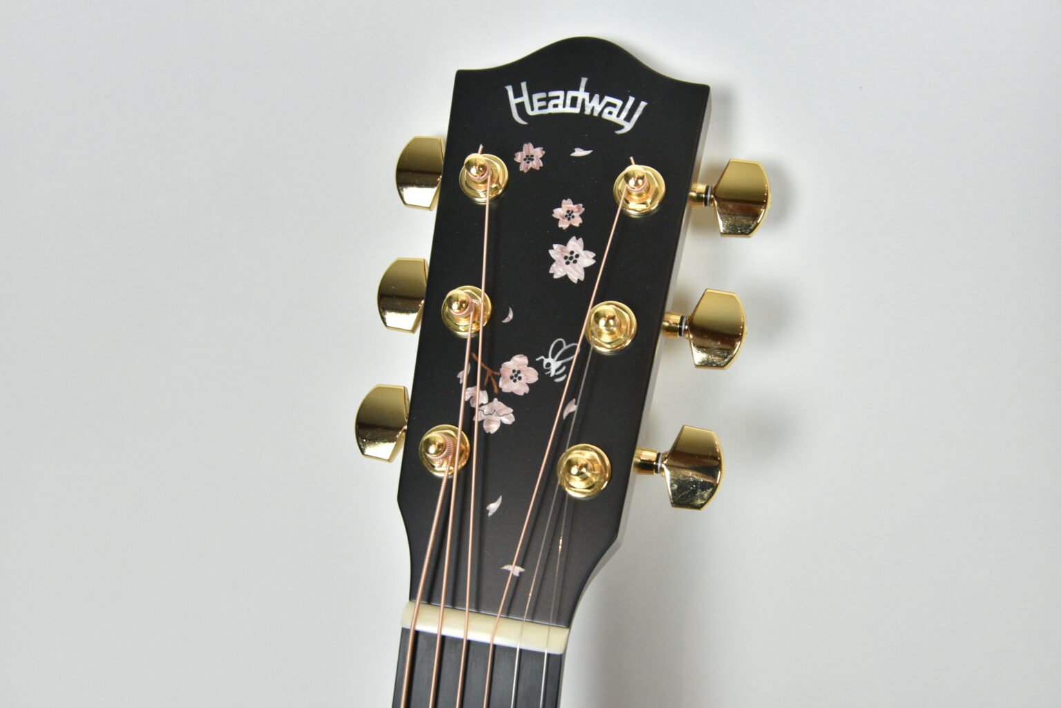 【Headway桜前線】2023年Standard桜ギター発表！！ | Deviser ｜株式会社ディバイザー｜長野県松本市のギターメーカー