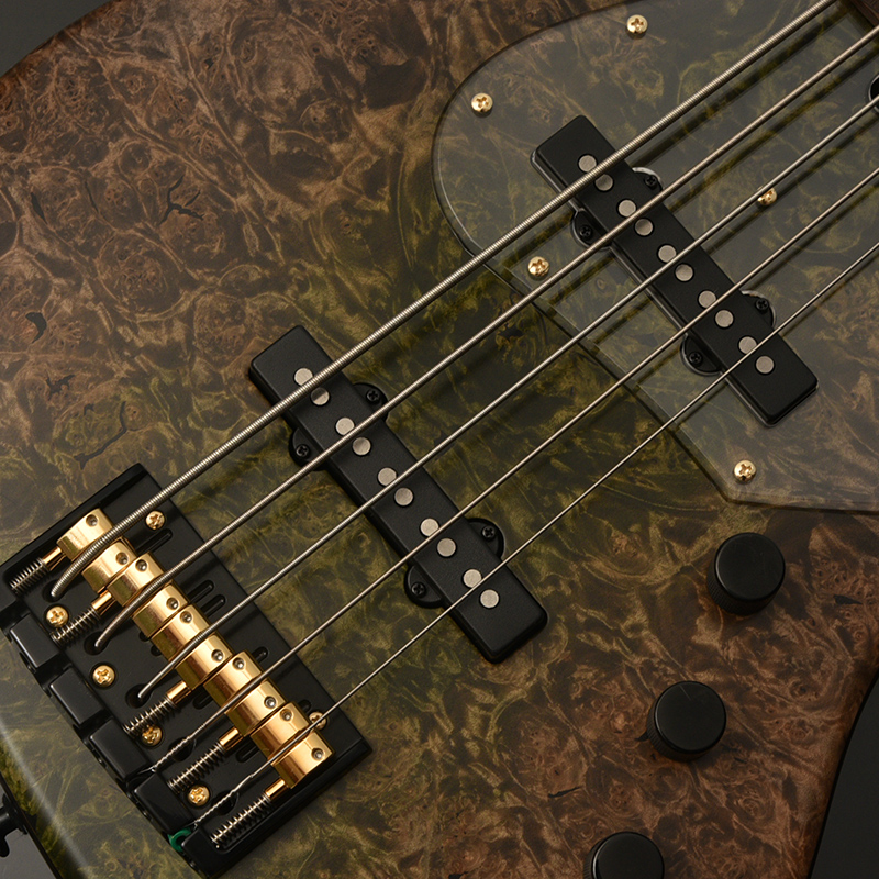 MJ・Five-EWC BM/ASH AC SP’23/WG | Deviser ｜株式会社ディバイザー｜長野県松本市のギターメーカー