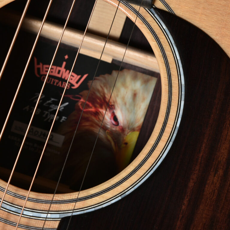 The Eagle/ATB Type D | Deviser ｜株式会社ディバイザー｜長野県松本市のギターメーカー