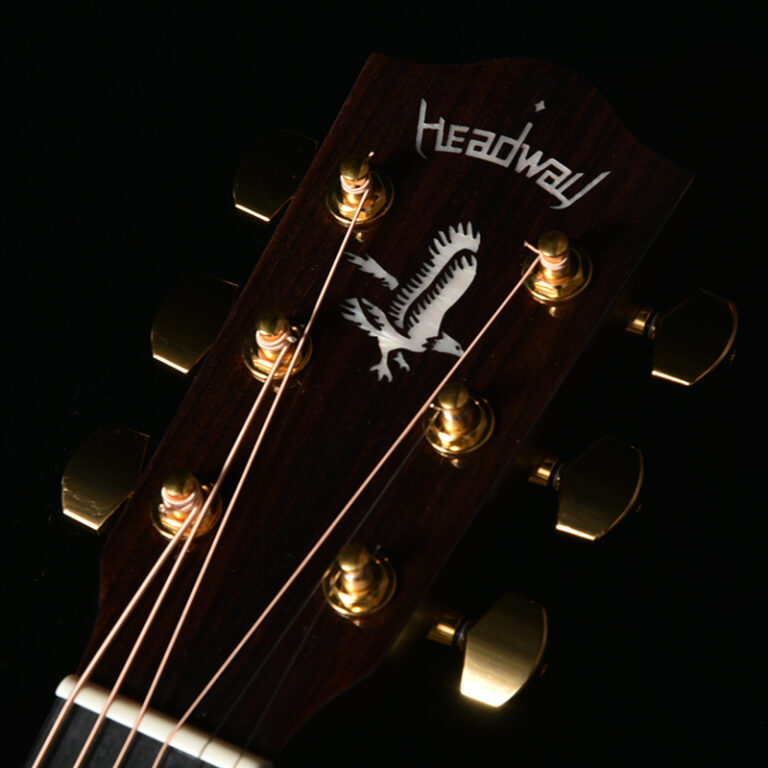 The Eagle/STD Type D CN | Deviser ｜株式会社ディバイザー｜長野県松本市のギターメーカー