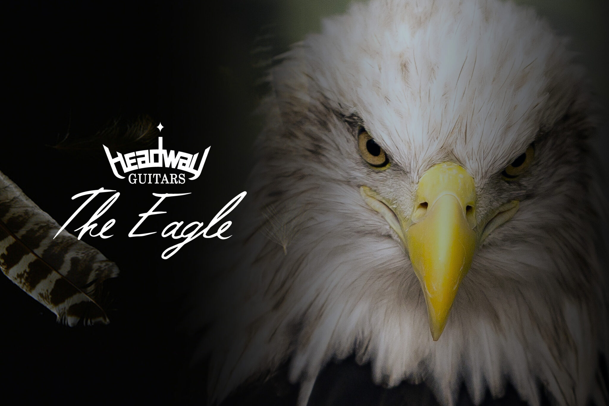 【ディバイザーワンデイ】「The Eagle」の新たなる幕開け | Deviser ｜株式会社ディバイザー｜長野県松本市のギターメーカー