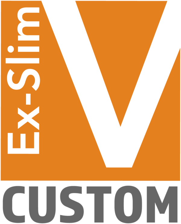 The Eagle’24 Type D | Deviser ｜株式会社ディバイザー｜長野県松本市のギターメーカー