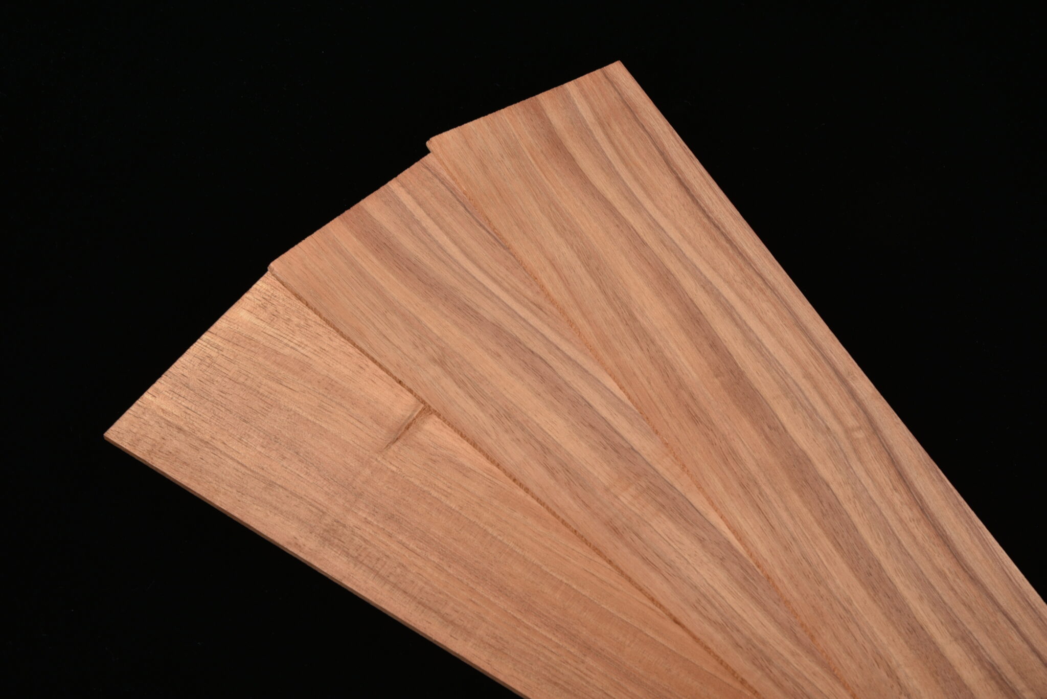 The Eagle’24 Type F | Deviser ｜株式会社ディバイザー｜長野県松本市のギターメーカー