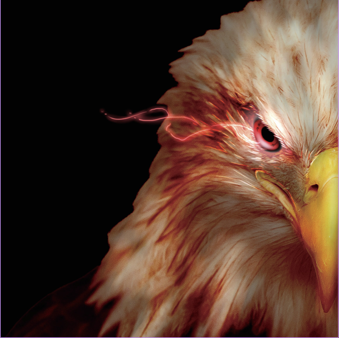 【ディバイザーワンデイ】「The Eagle」の新たなる幕開け | Deviser ｜株式会社ディバイザー｜長野県松本市のギターメーカー