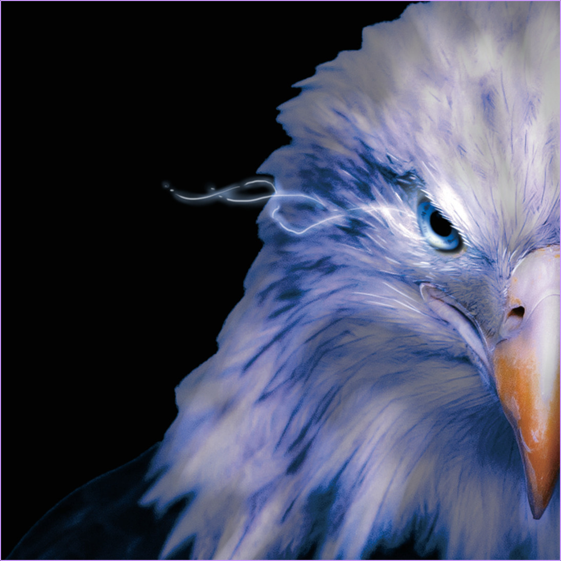 【ディバイザーワンデイ】「The Eagle」の新たなる幕開け | Deviser ｜株式会社ディバイザー｜長野県松本市のギターメーカー