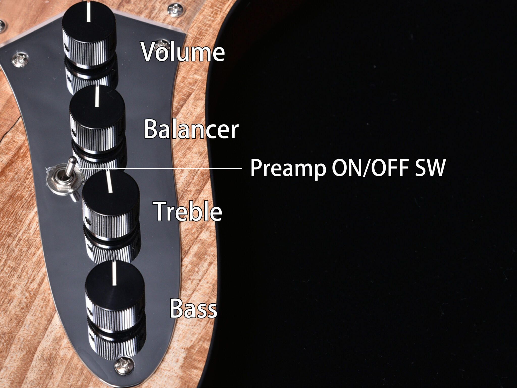 【Bacchus JT Series】スポルテッドメイプルを採用したモデルが新登場！ | Deviser ｜株式会社ディバイザー｜長野県松本市のギターメーカー