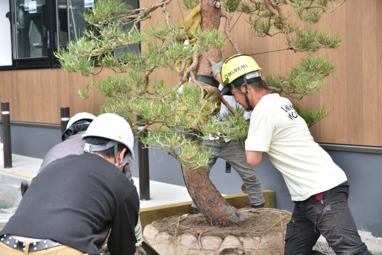 赤松ギタープロジェクトの原点へ！装い新たなSURF BREAKER & 赤松ROSETTEEも初登場【#ディバイザーワンデイ】 | Deviser ｜株式会社ディバイザー｜長野県松本市のギターメーカー
